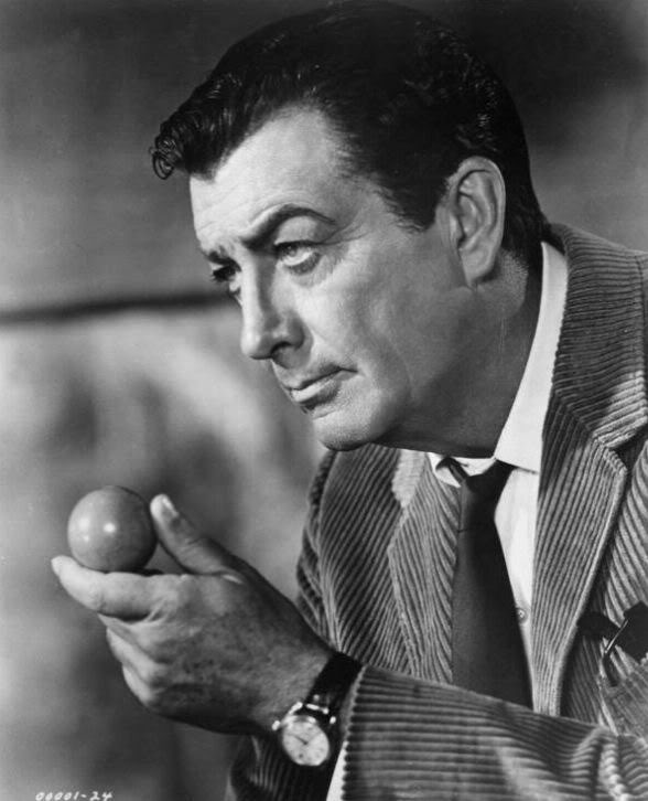 Johnny Tiger, 1966 | Robert Taylor Actor