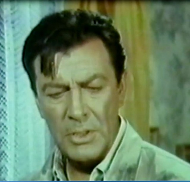 Johnny Tiger, 1966 | Robert Taylor Actor