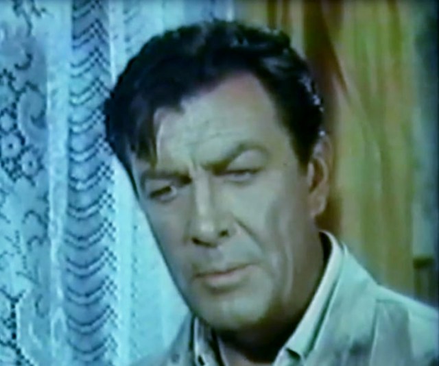 Johnny Tiger, 1966 | Robert Taylor Actor