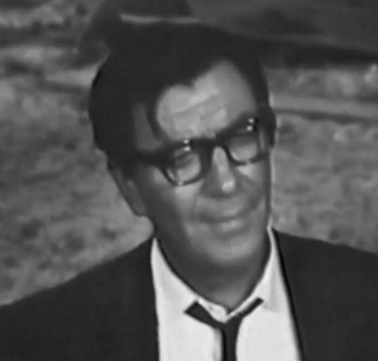 Johnny Tiger, 1966 | Robert Taylor Actor