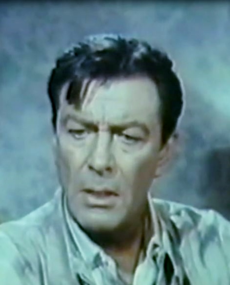 Johnny Tiger, 1966 | Robert Taylor Actor