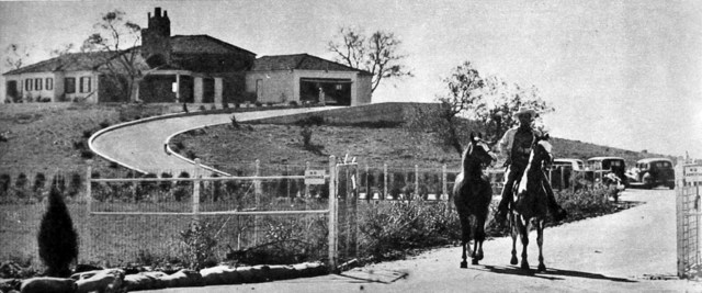 Robert Taylor, Horseman: Updated | Robert Taylor Actor